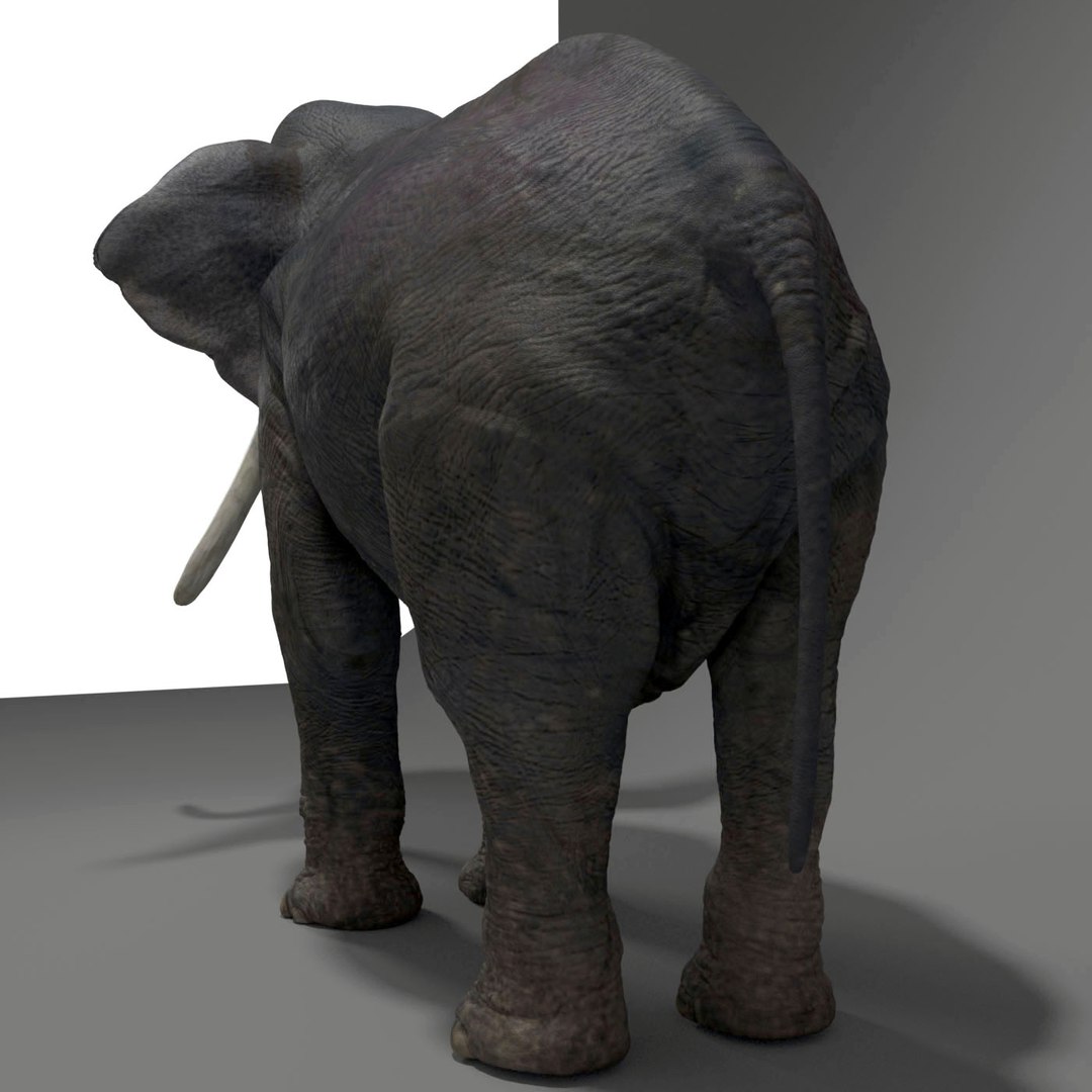 3d Obj Elephant 2