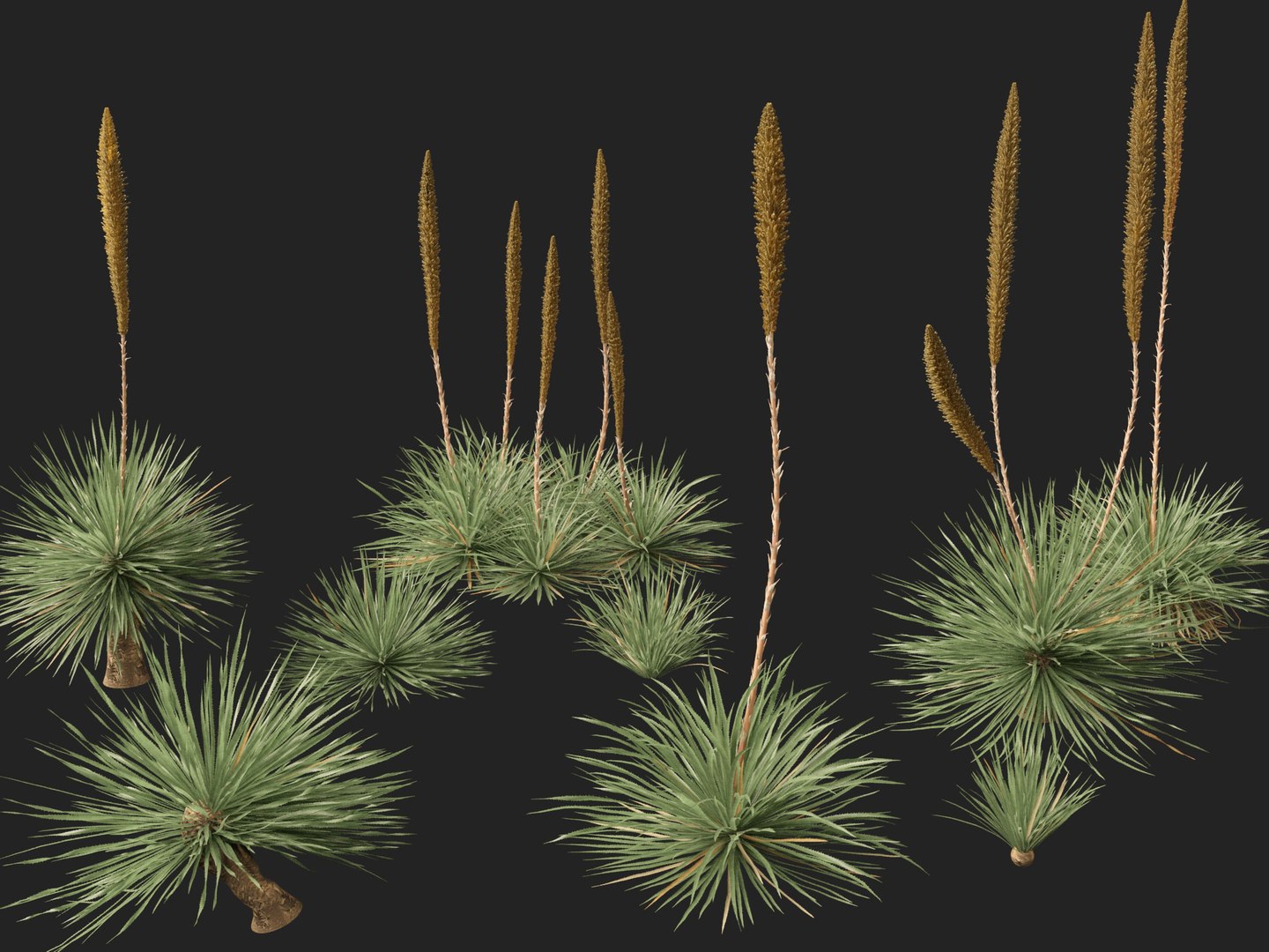 Desert Plants Pack- Trees Grass Cactus Succulents 3D Model - TurboSquid ...