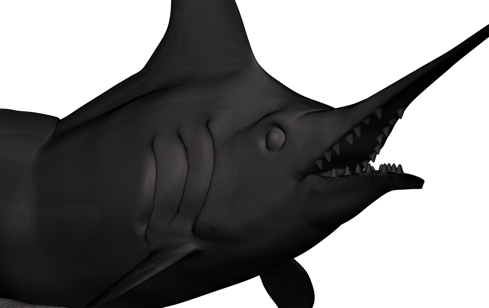3D Blue Marlin Model - TurboSquid 1848728