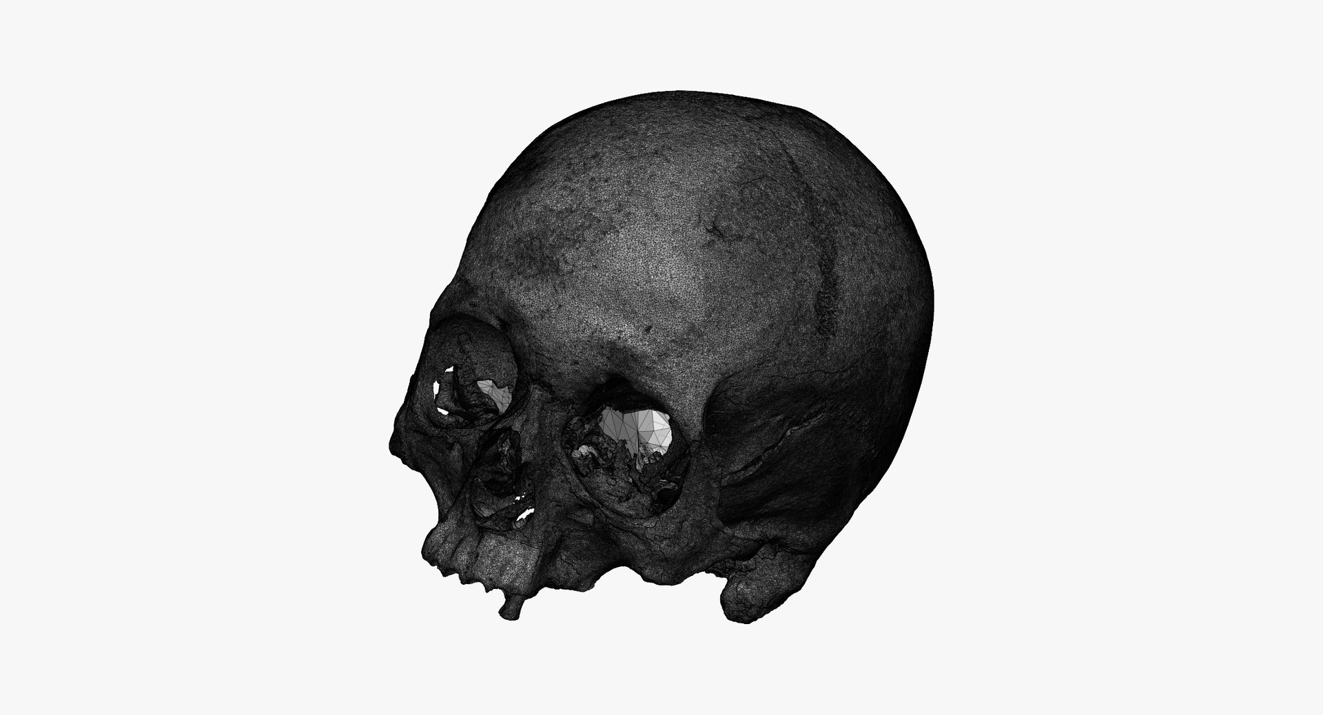 Broken Human Skull Carnial Model - TurboSquid 1549178