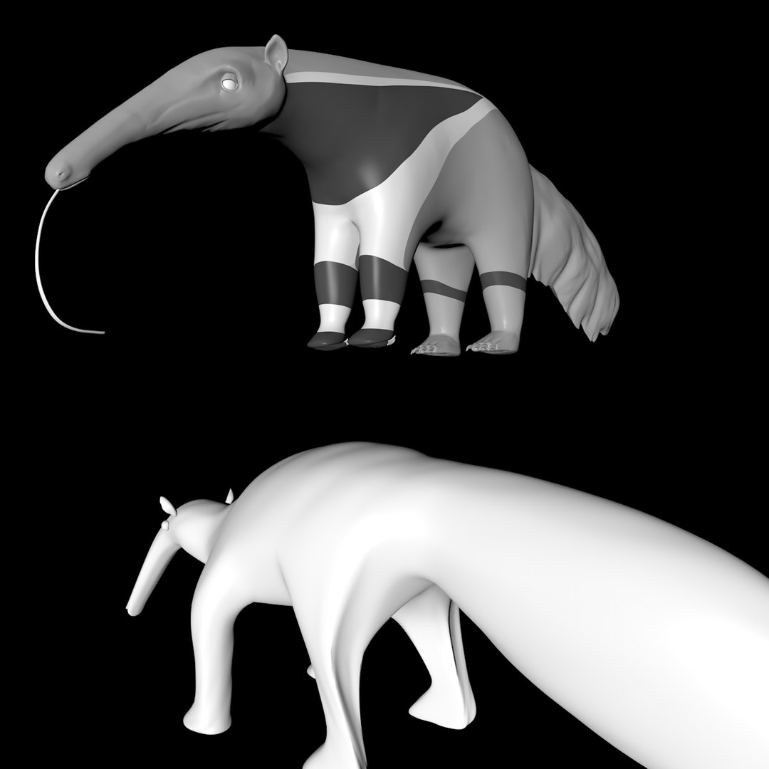 Anteater Body Eyes Model - TurboSquid 1621762