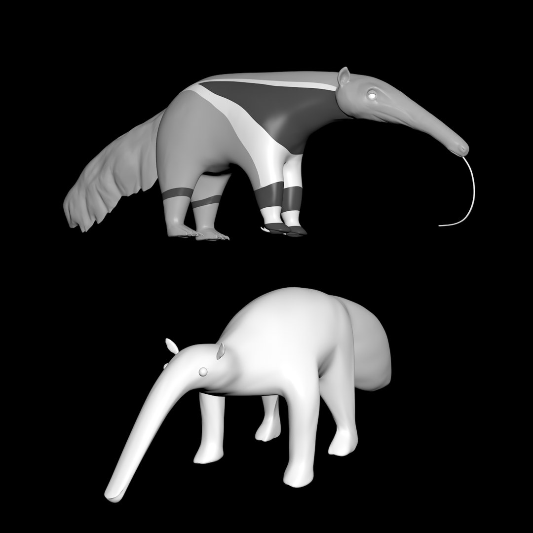 Anteater Body Eyes Model - TurboSquid 1621762
