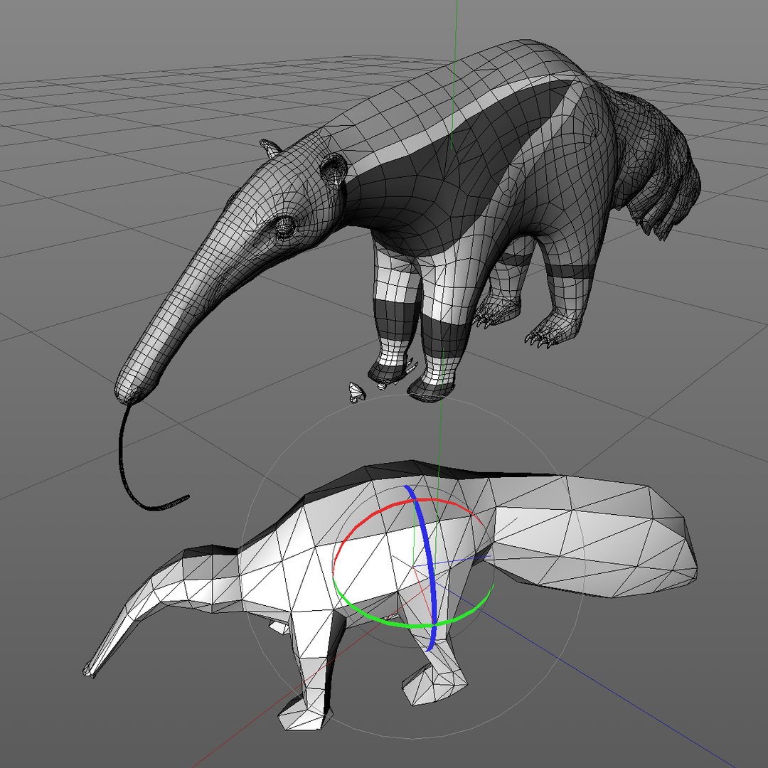 Anteater Body Eyes Model - TurboSquid 1621762
