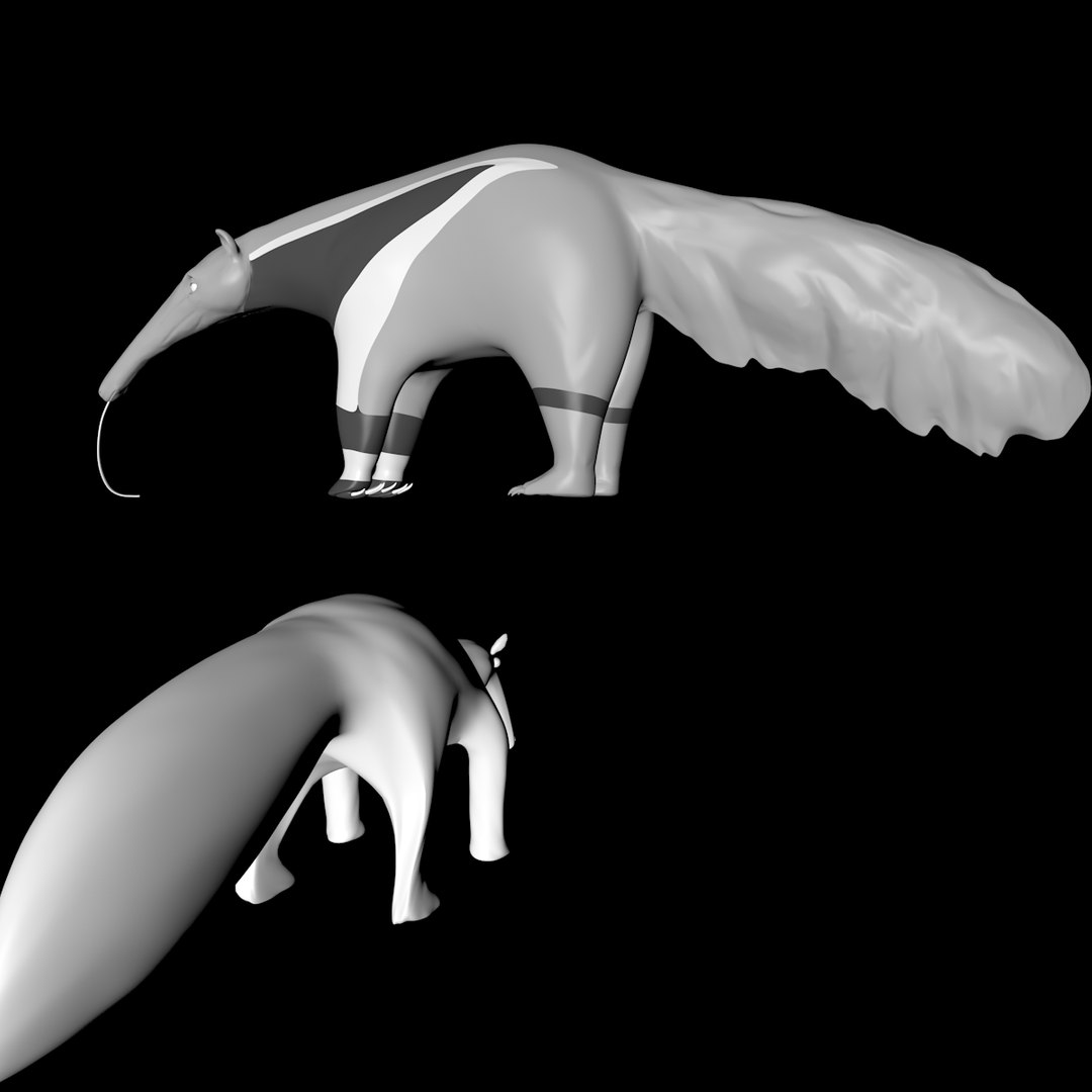 Anteater Body Eyes Model - TurboSquid 1621762