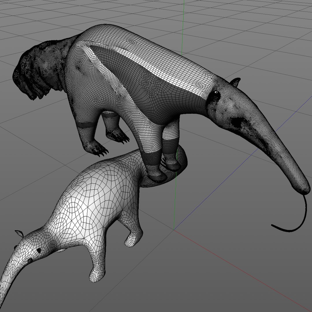 Anteater Body Eyes Model - TurboSquid 1621762