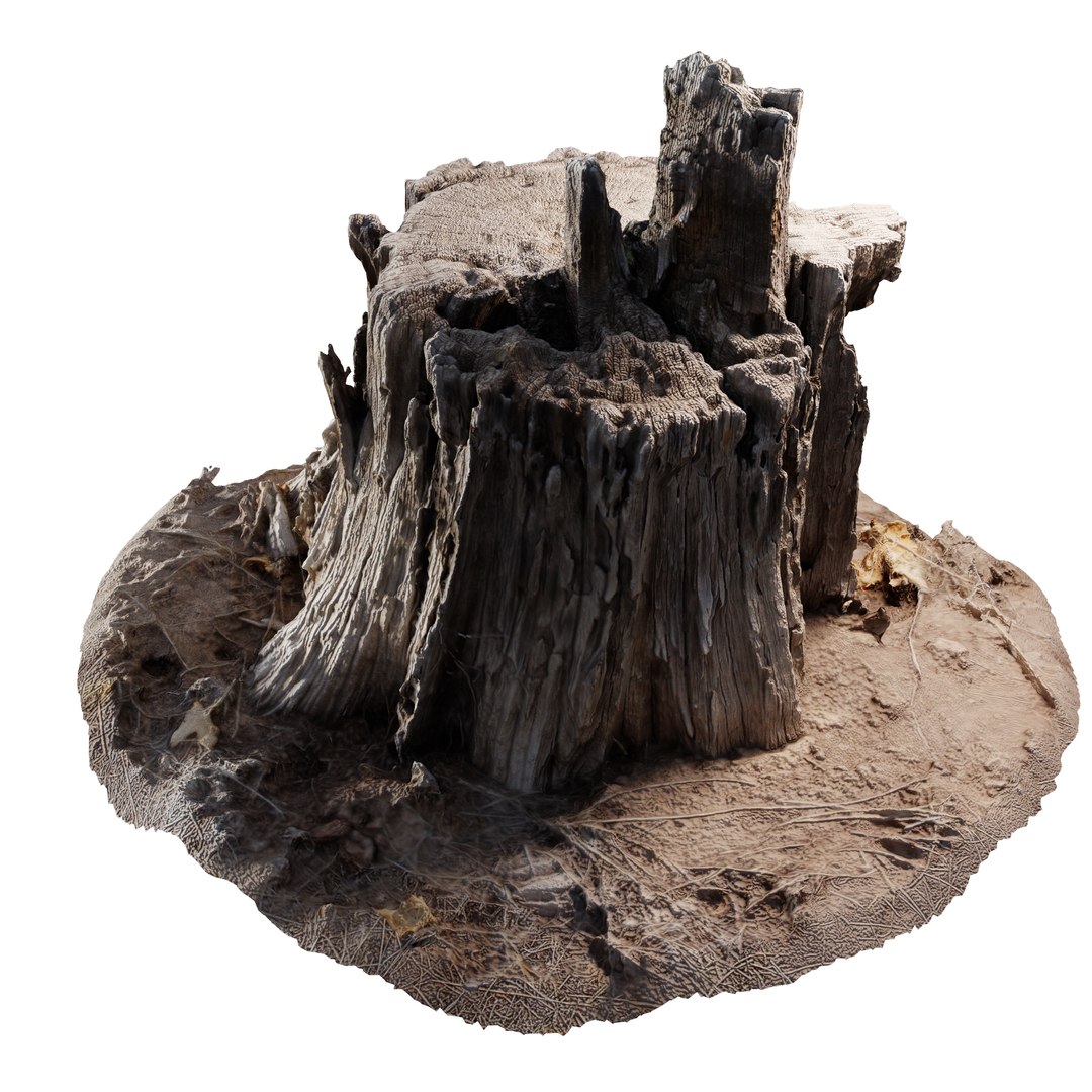 Rotten Stump 3D Model - TurboSquid 1391956