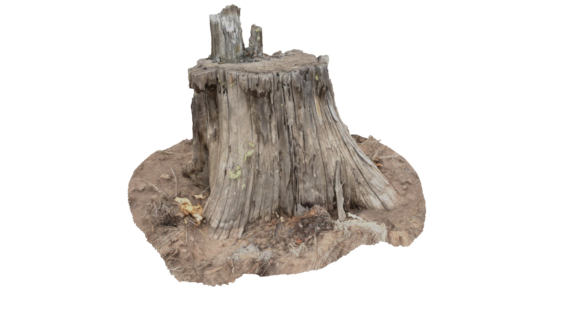 Rotten Stump 3D Model - TurboSquid 1391956