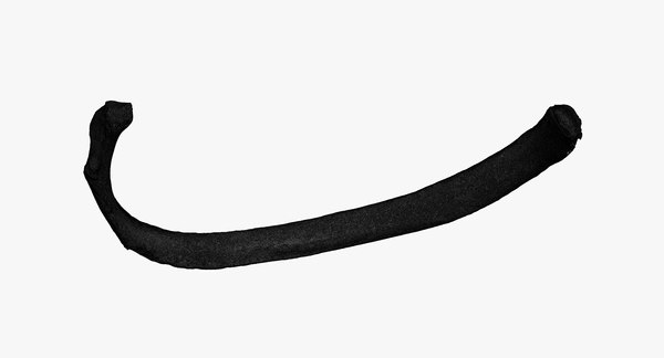 modelo 3d Real Costae Spurie Falso Rib 03 CRUDO SCAN - TurboSquid 1534333