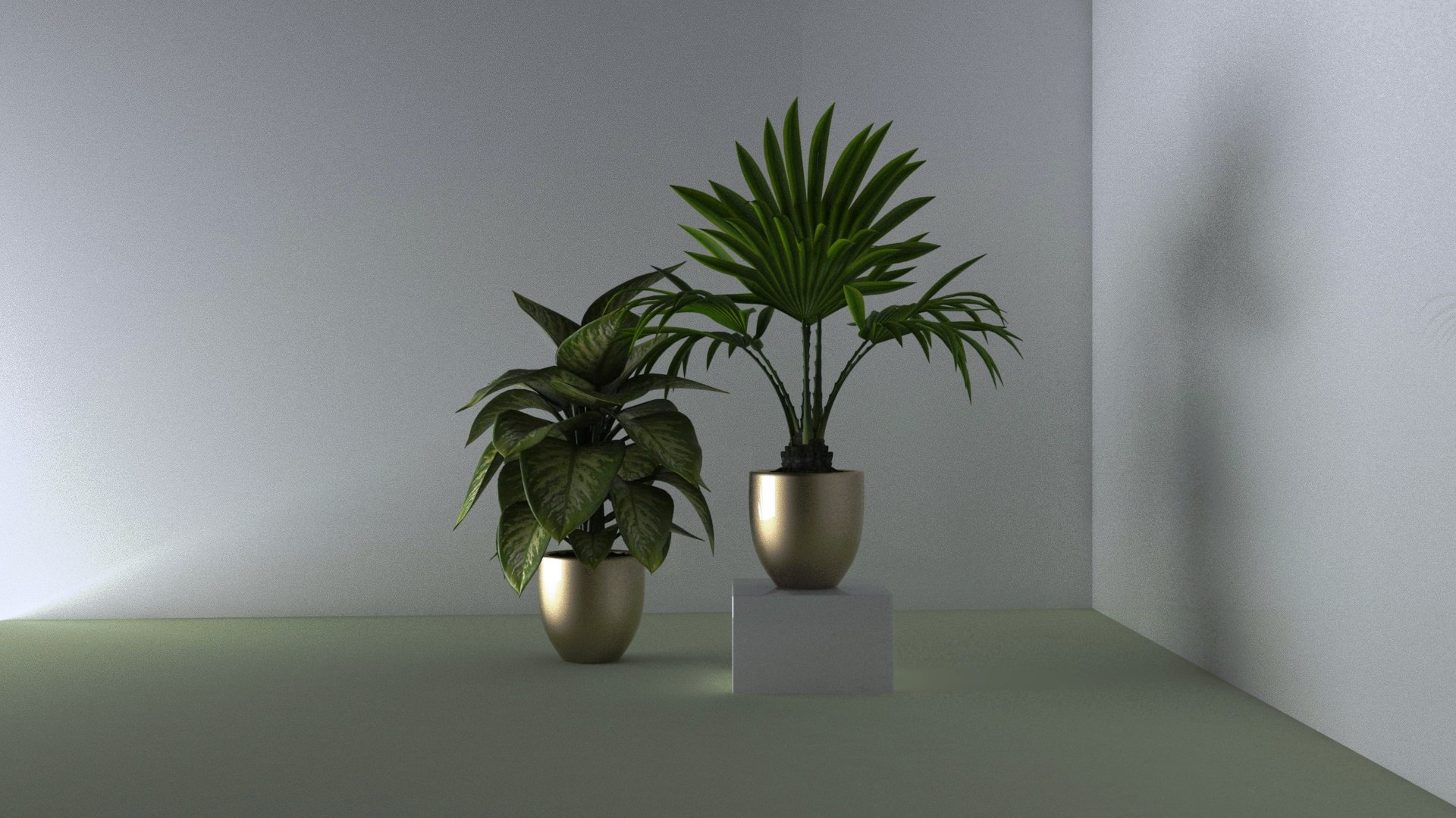 3d Plant Model Model - TurboSquid 2153685