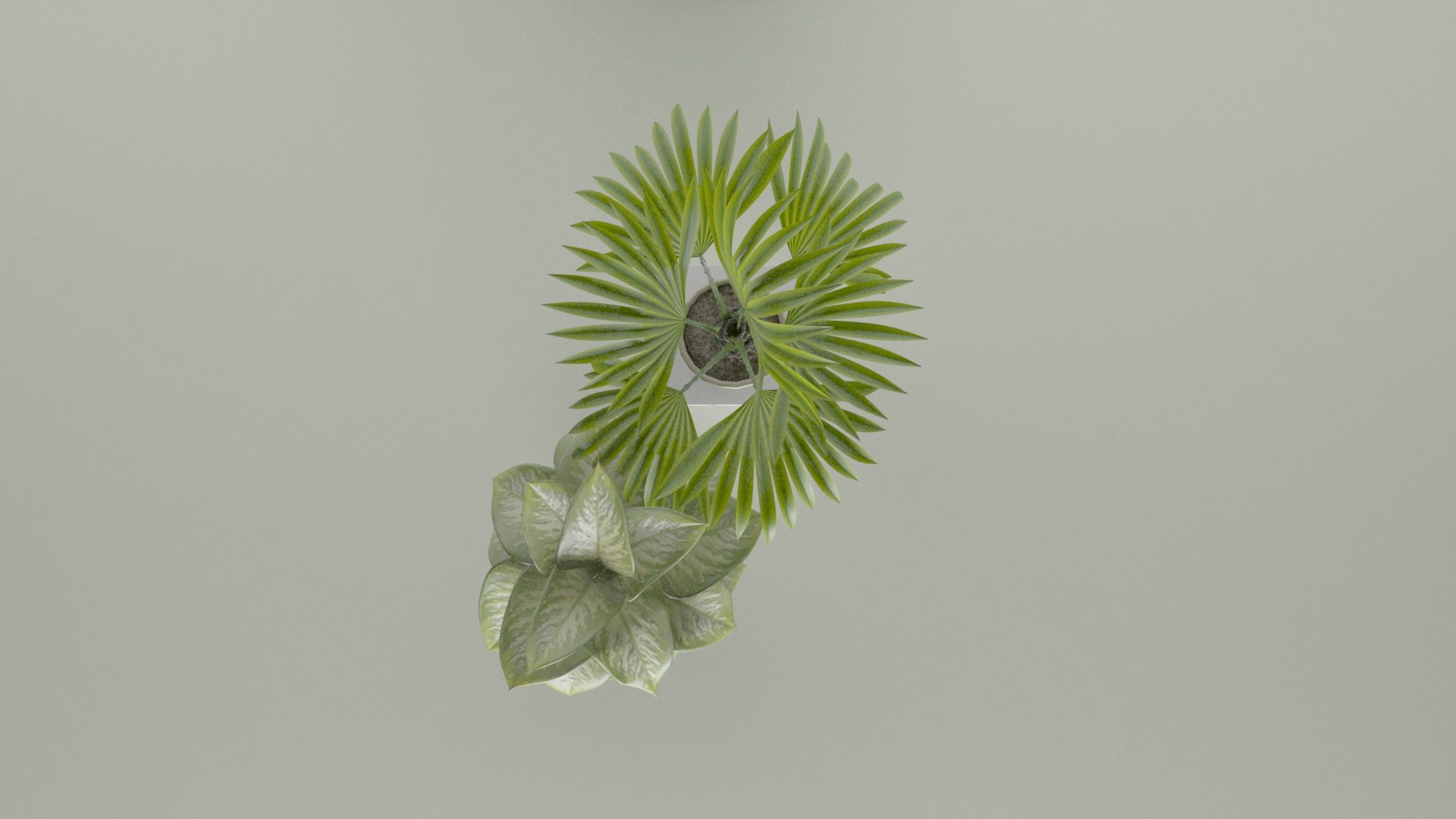 3d Plant Model Model - TurboSquid 2153685