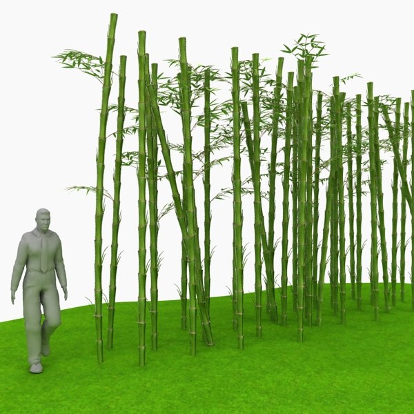 bamboo tree 3d model