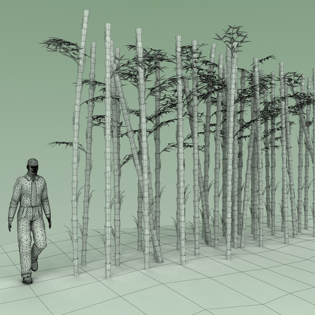 Bamboo Tree 3d Model