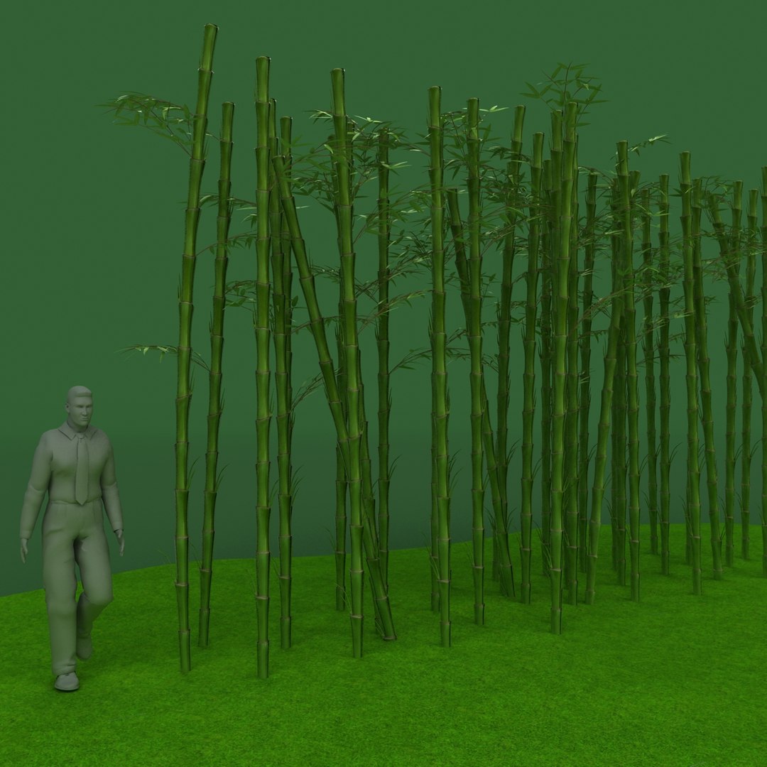 Bamboo Tree 3d Model
