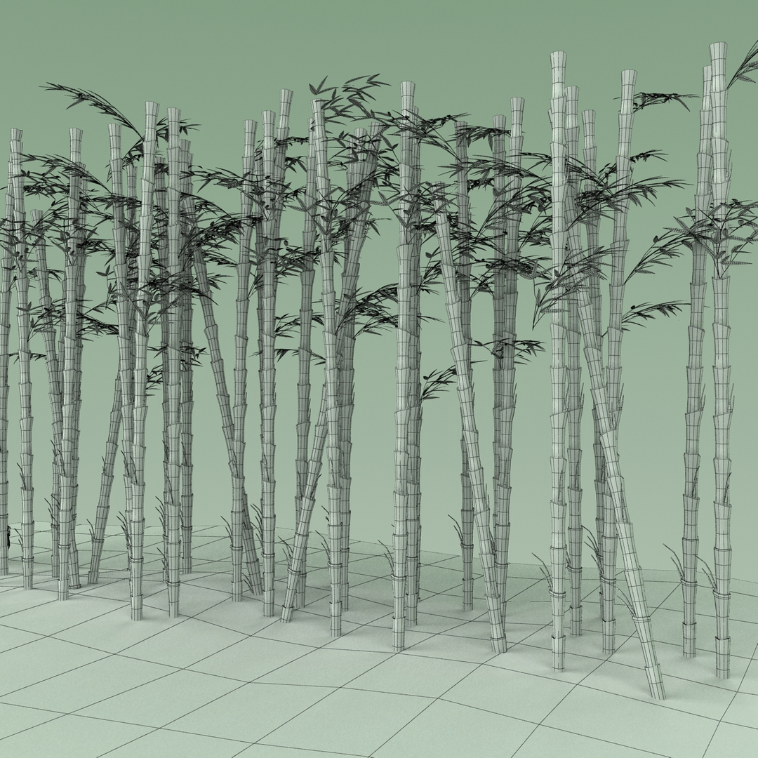 bamboo tree 3d model