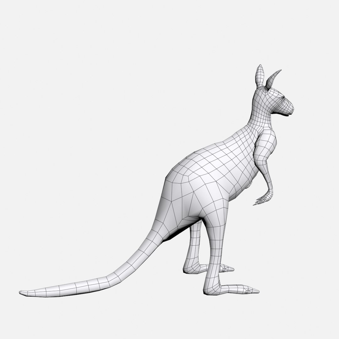 Kangaroo Base 3D - TurboSquid 1396438