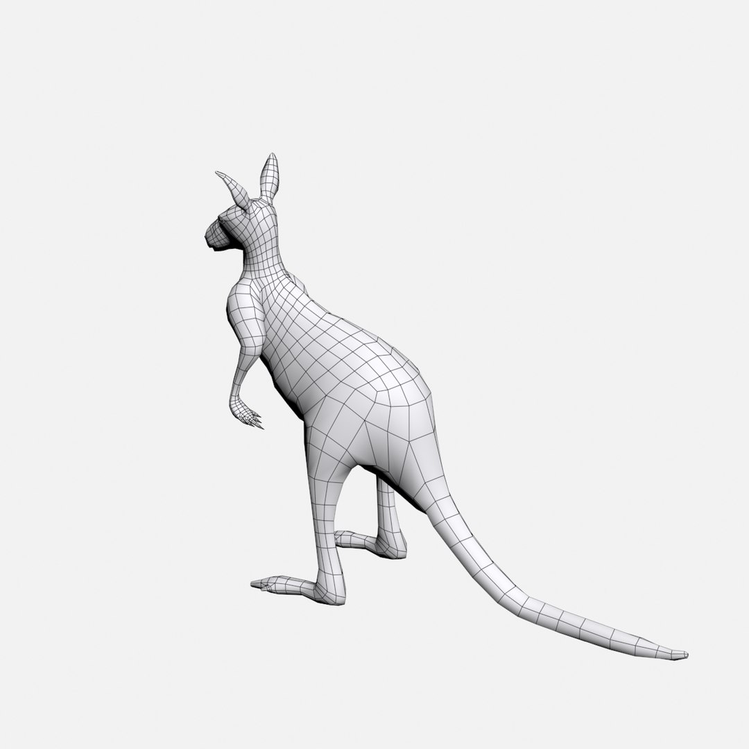Kangaroo Base 3D - TurboSquid 1396438