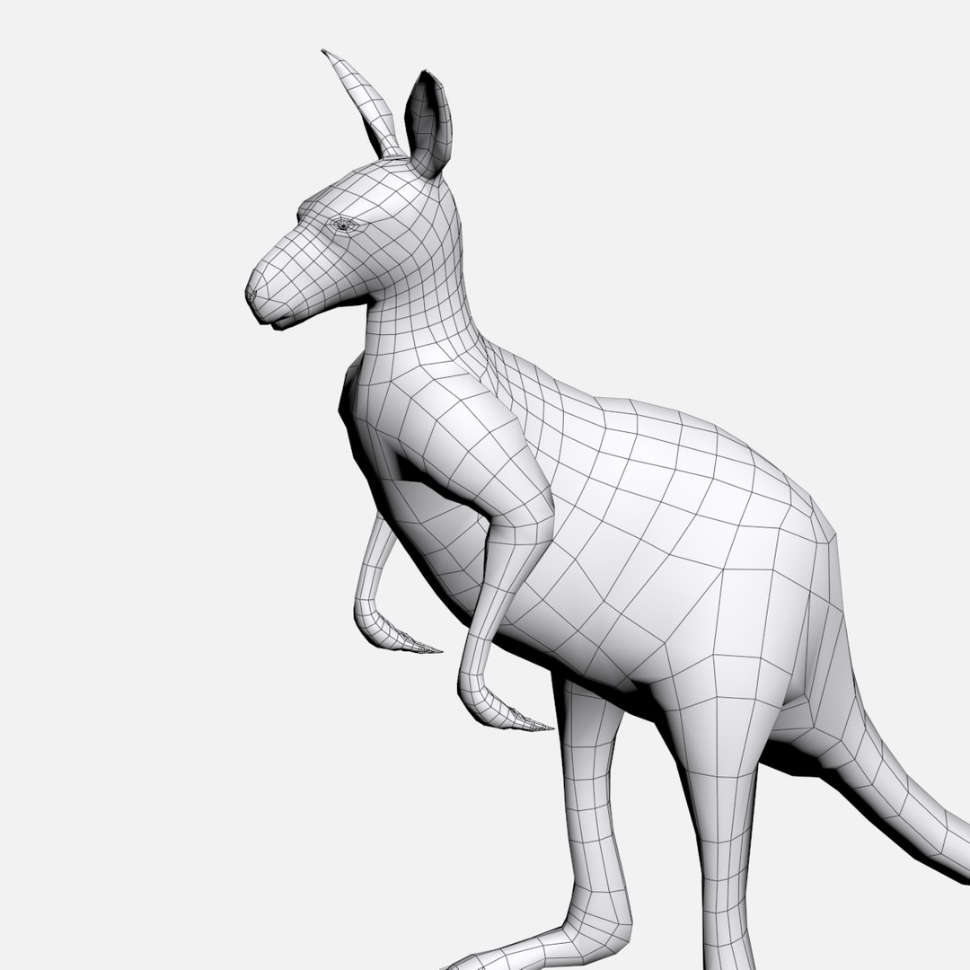 Kangaroo Base 3D - TurboSquid 1396438
