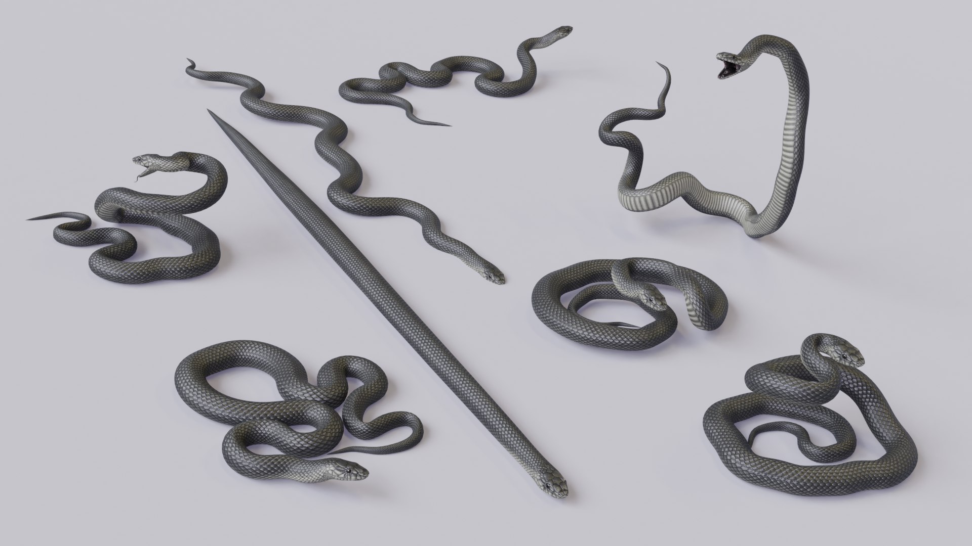 Black Mamba - 3D Mesh Model - TurboSquid 1774994