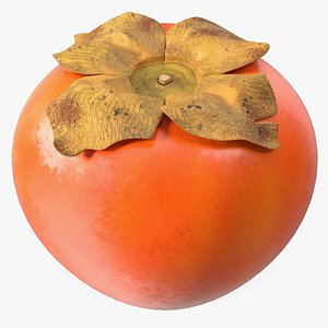 Persimmon 3D Models for Download | TurboSquid