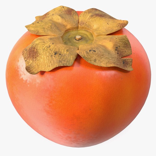 modelo 3d Persimmon Fruit - TurboSquid 2063620
