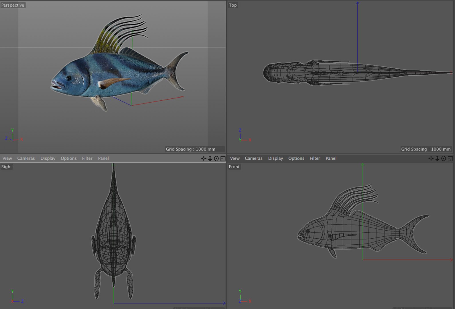 Fish Model - TurboSquid 1551918