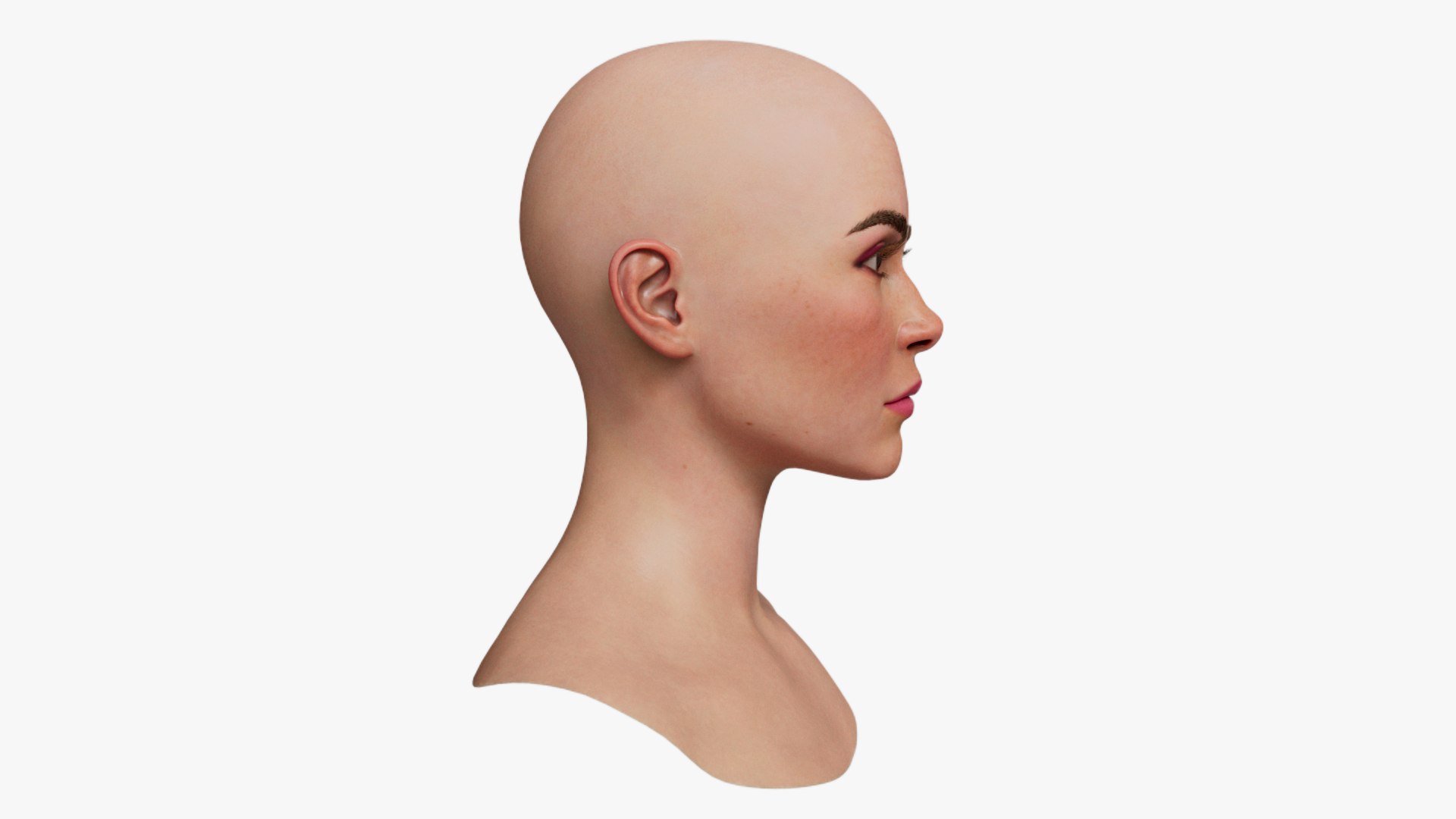 Female Head Mesh Metahuman Unreal Topology Woman Head Mesh V2 Model ...