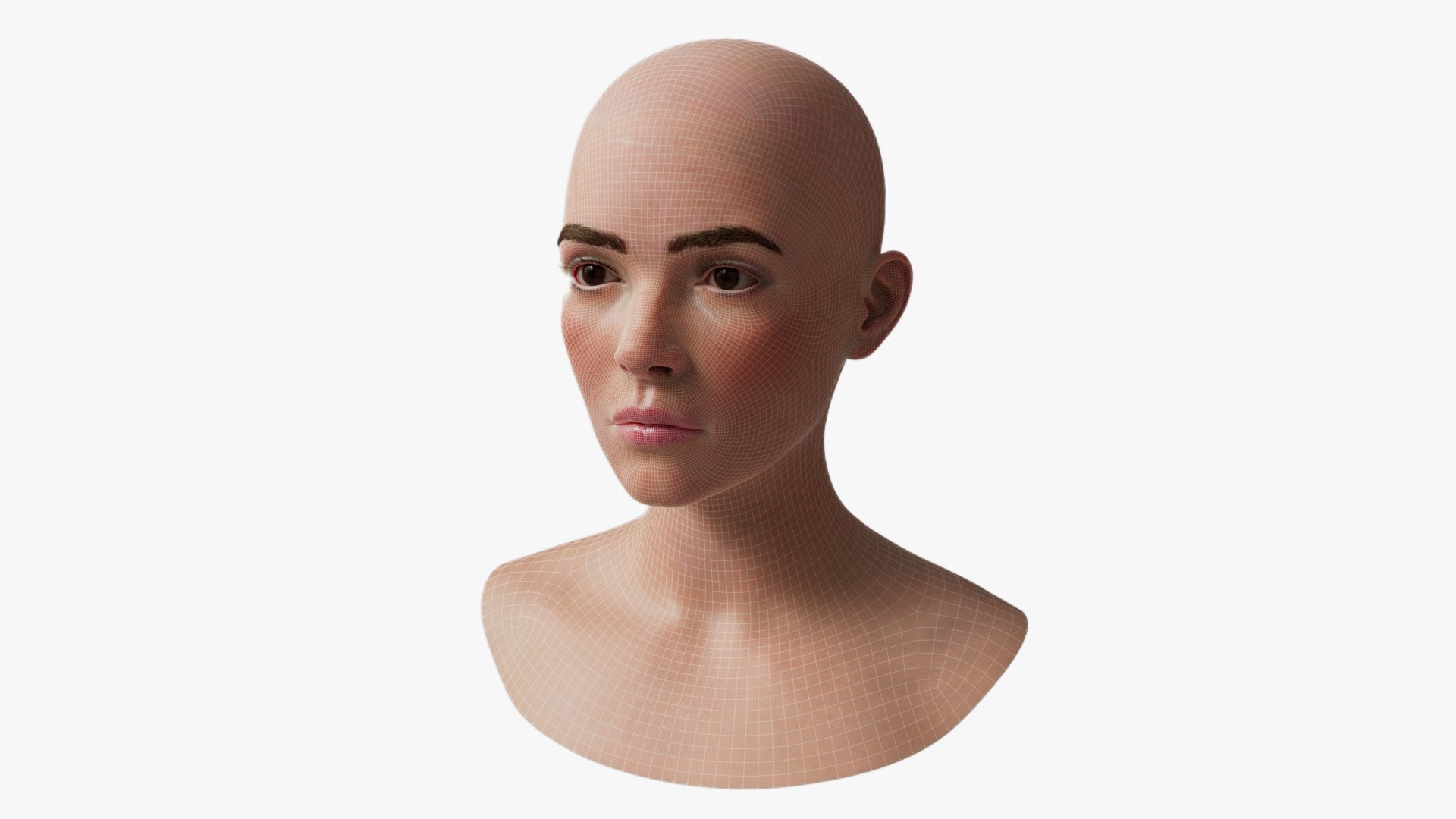 White Female Head Base Mesh Metahuman Topology V2 Model - TurboSquid ...