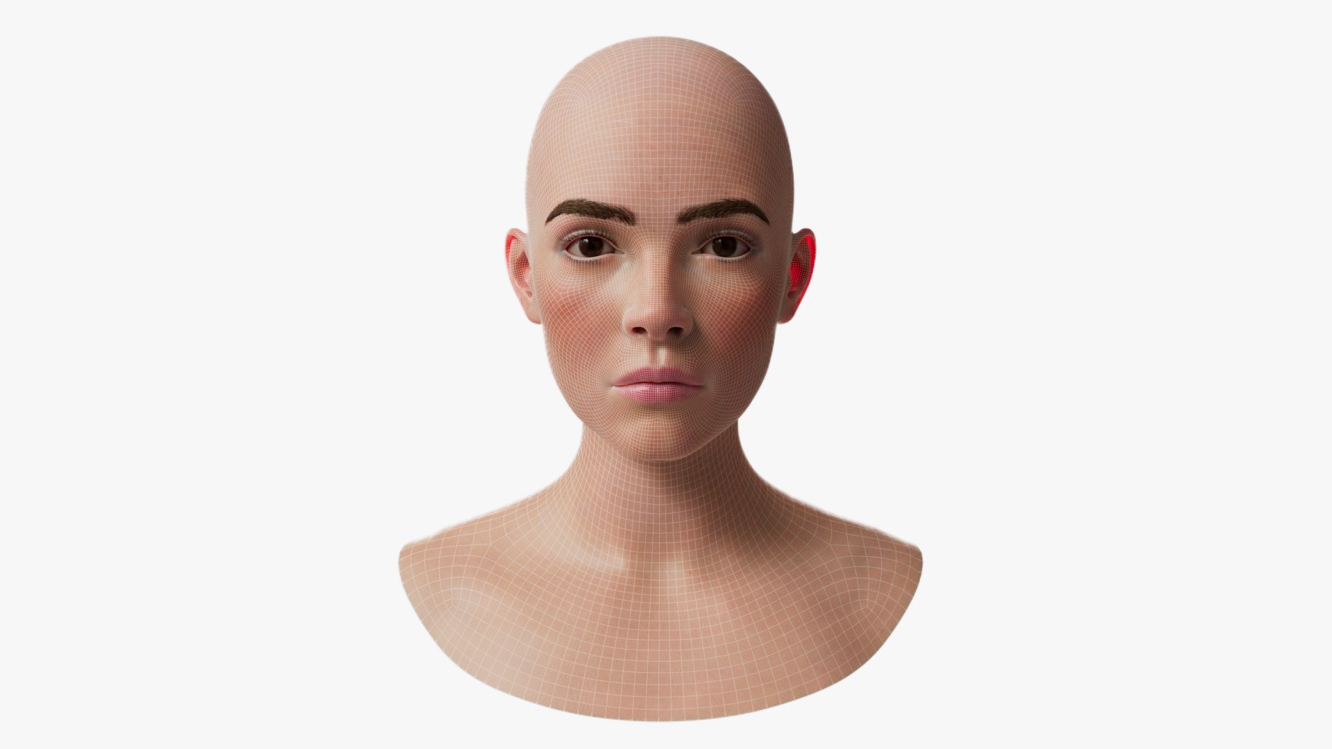 White Female Head Base Mesh Metahuman Topology V2 Model - TurboSquid ...