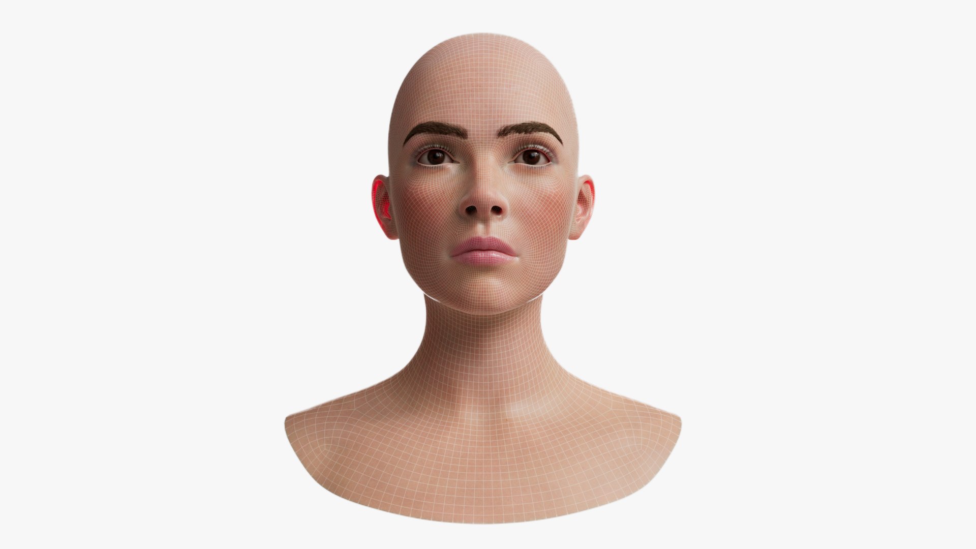Female Head Mesh Metahuman Unreal Topology Woman Head Mesh V2 Model ...