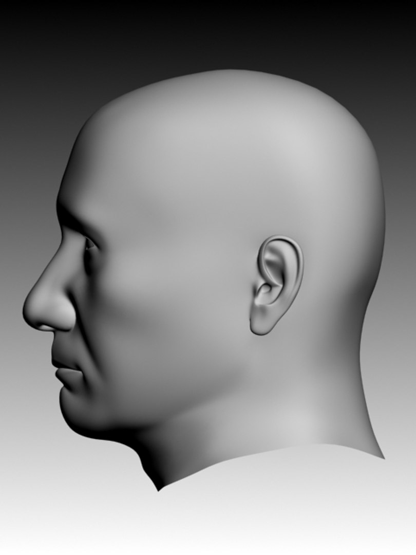 3d model realistic male character head