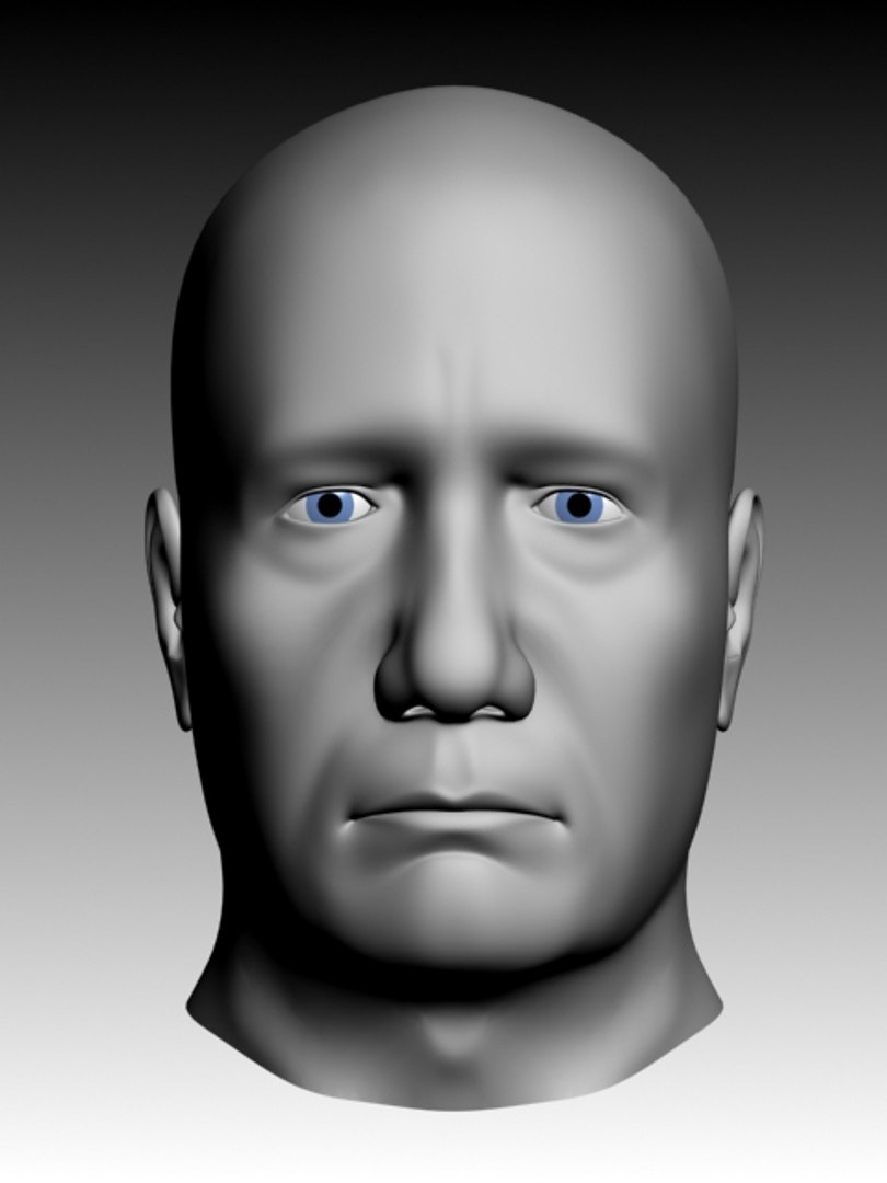 3d model realistic male character head