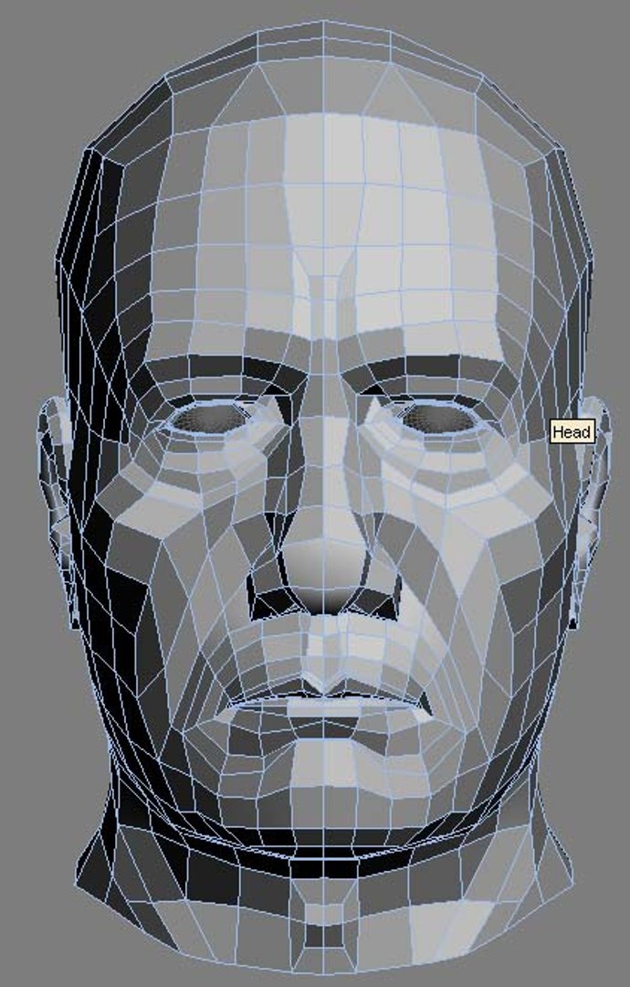 3d model realistic male character head
