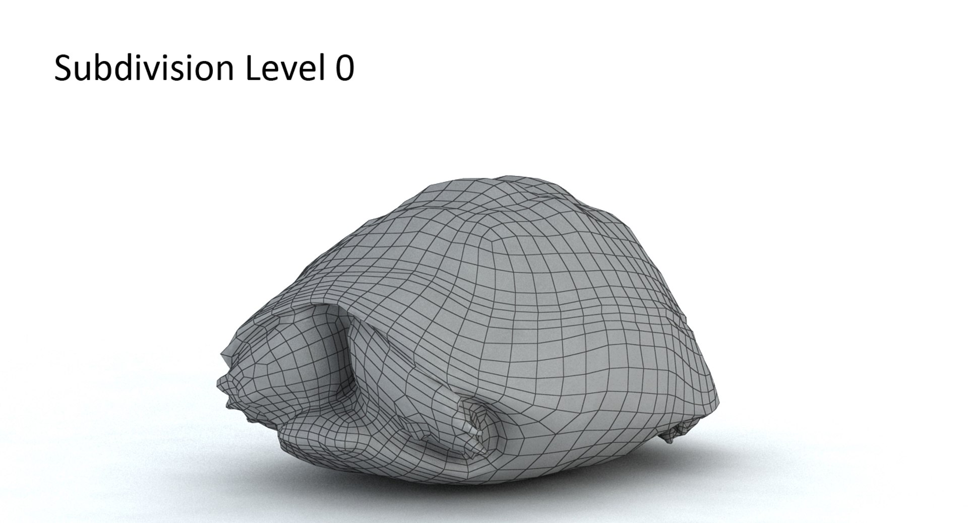 3d Model Of Turtle Shell