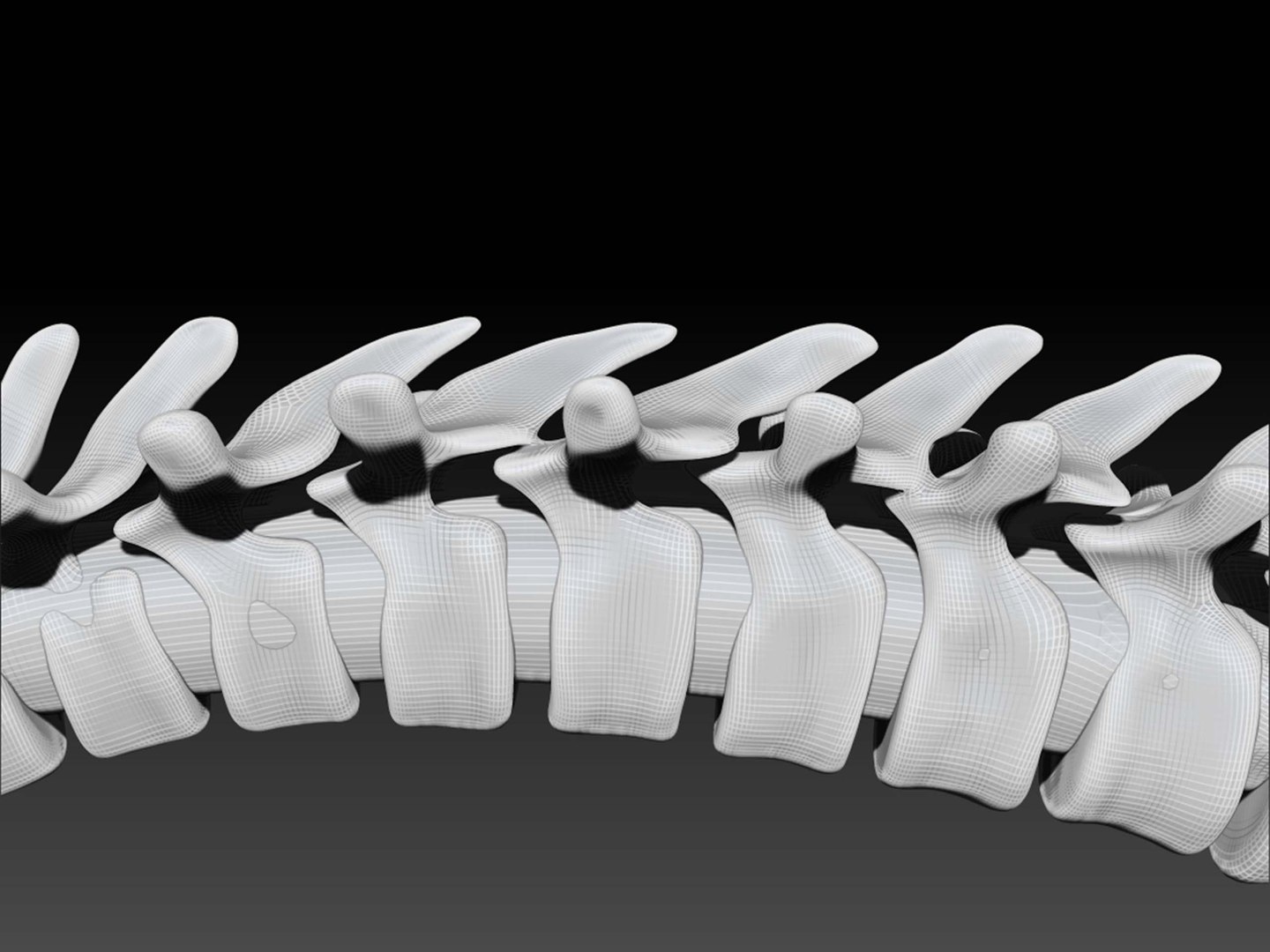 Lumbar Spine 3D - TurboSquid 2212139