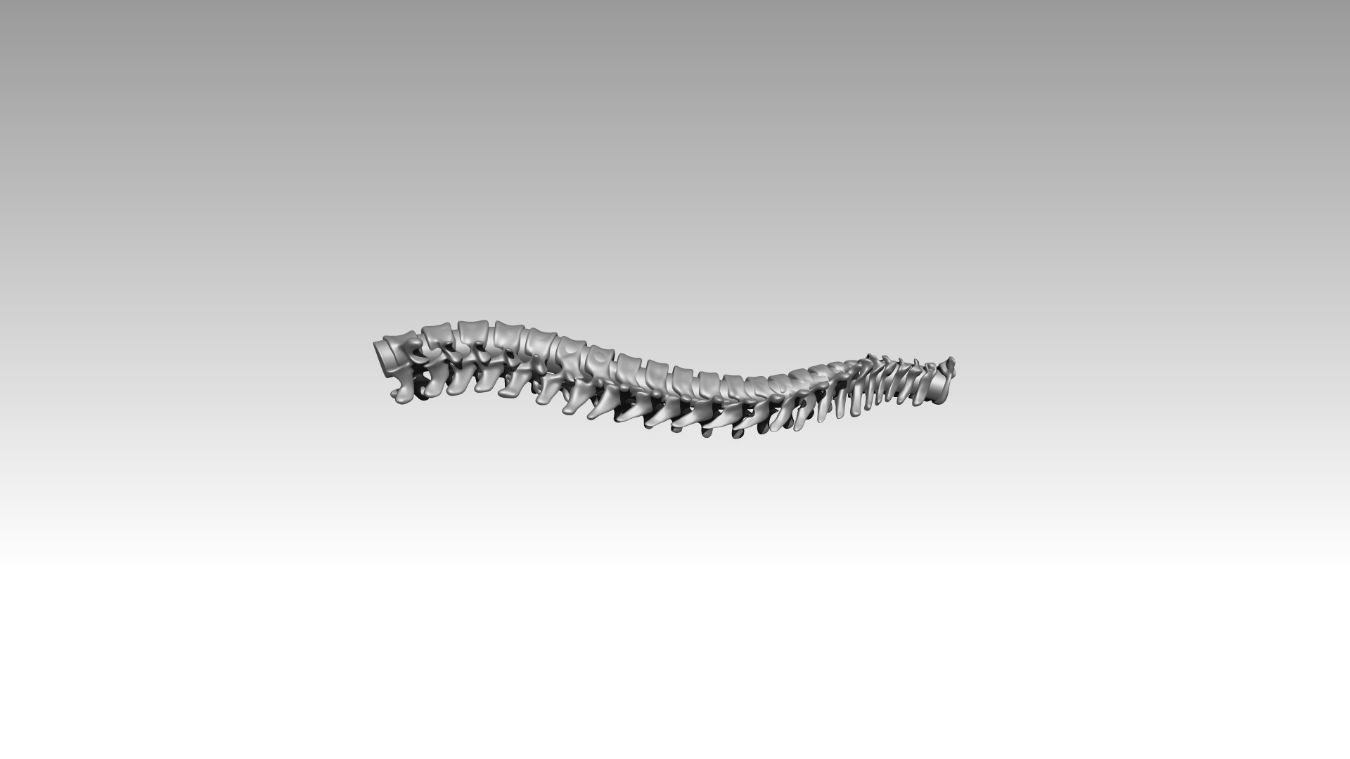 Lumbar Spine 3D - TurboSquid 2212139