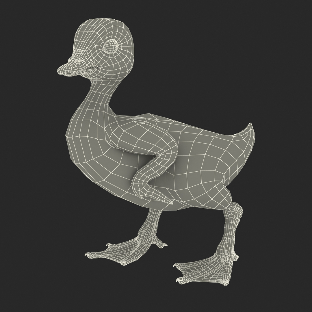 3d duckling pose 3