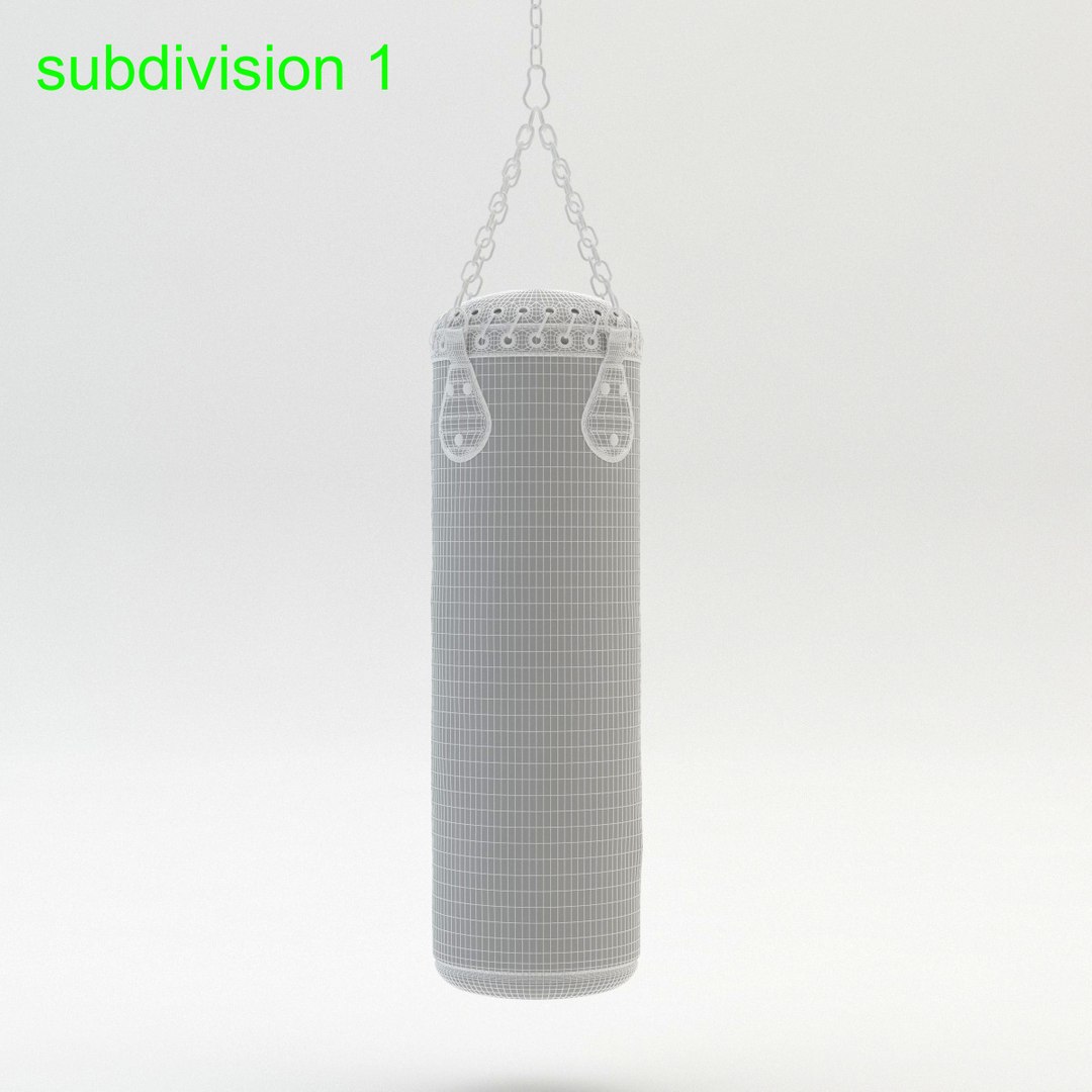 Punching Bag 3d Model