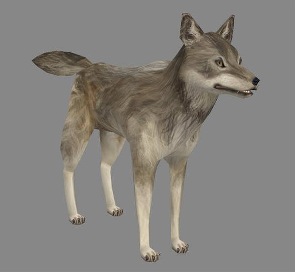 3d wolf model