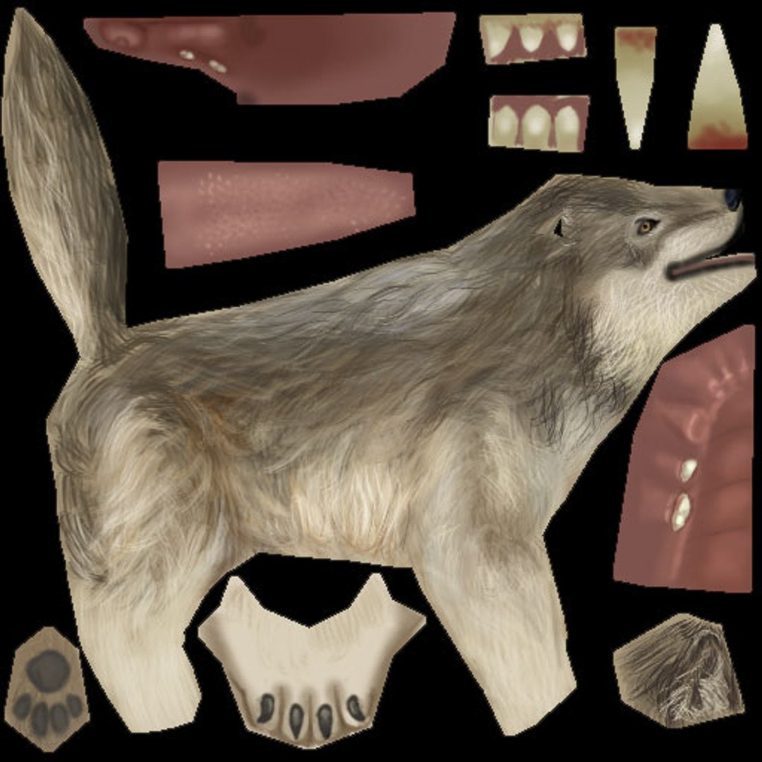 3d Wolf Model