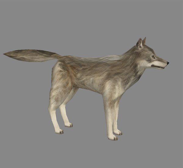 3d wolf model