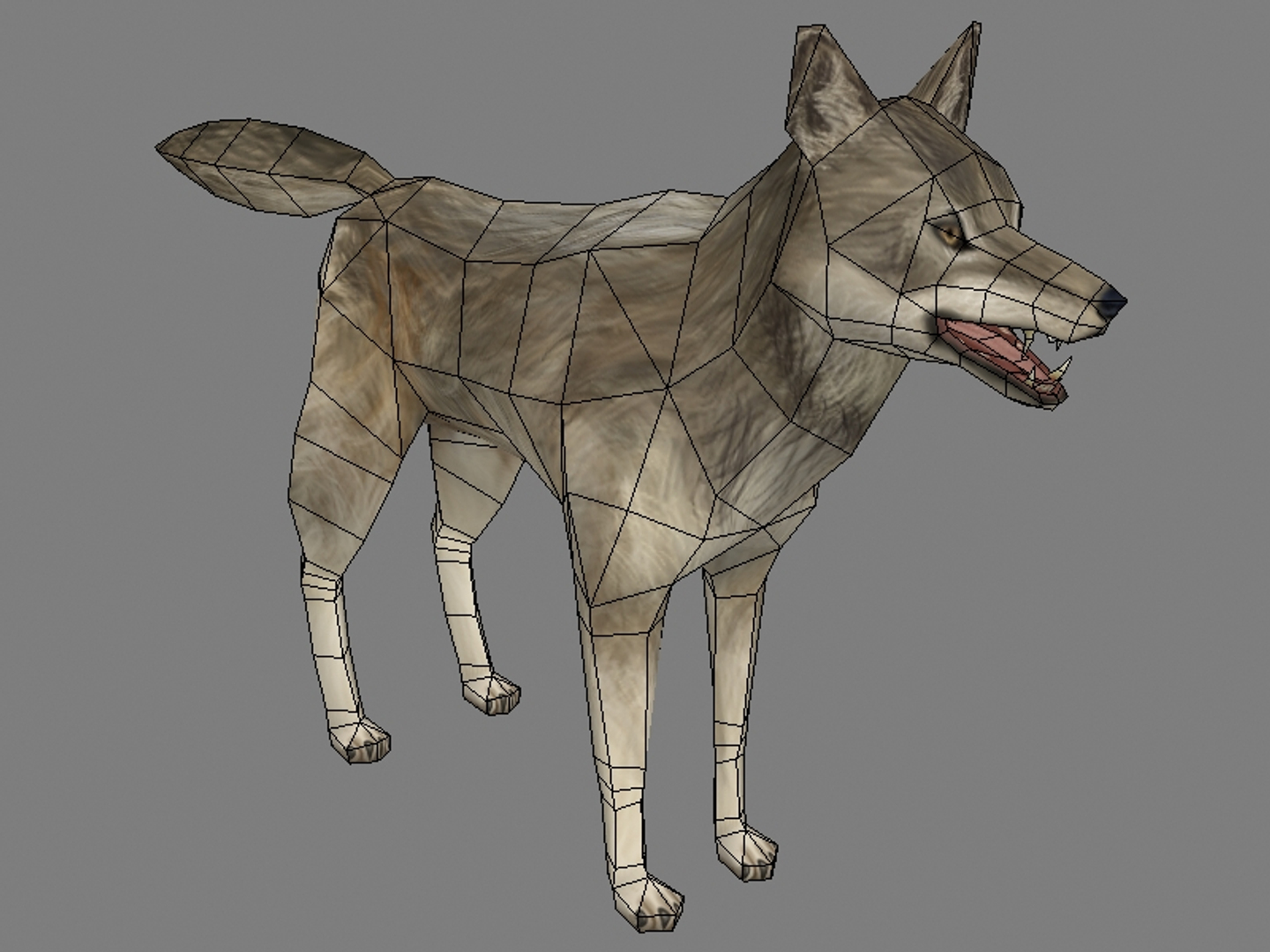 3d wolf model