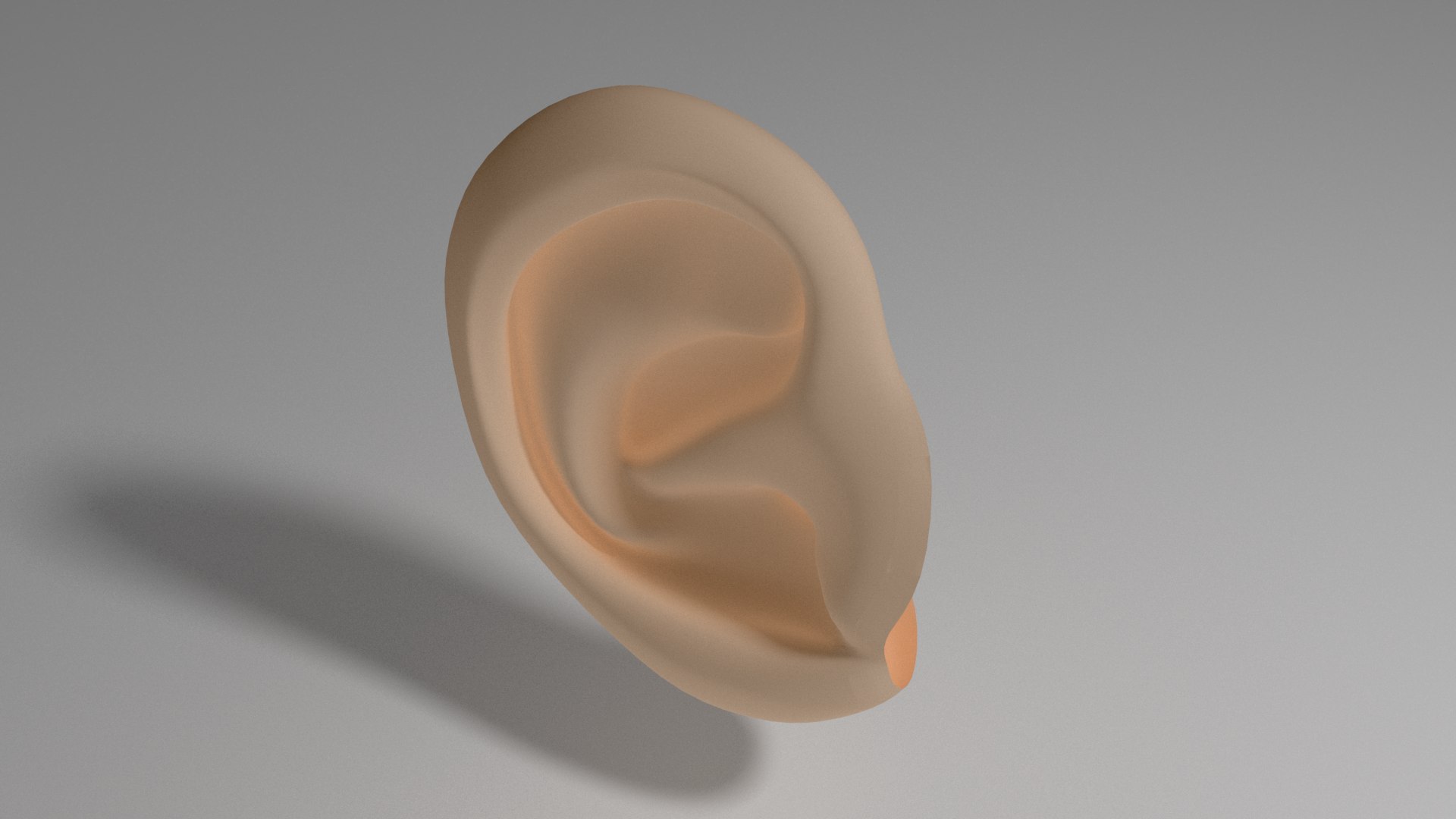 3D Ear Template - TurboSquid 1217488