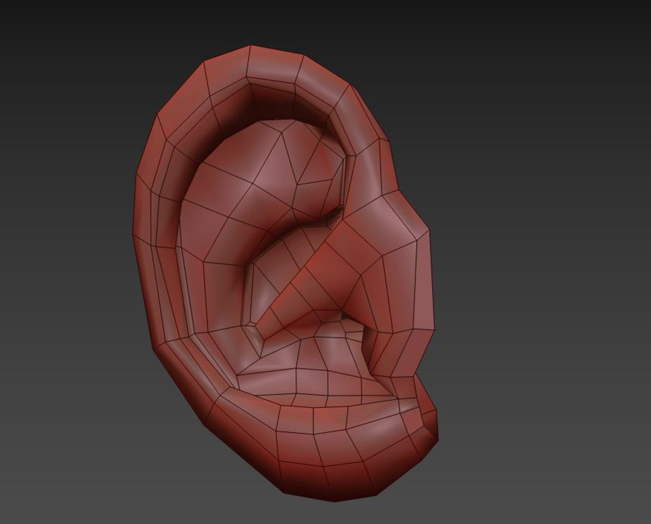 3D Ear Template - TurboSquid 1217488