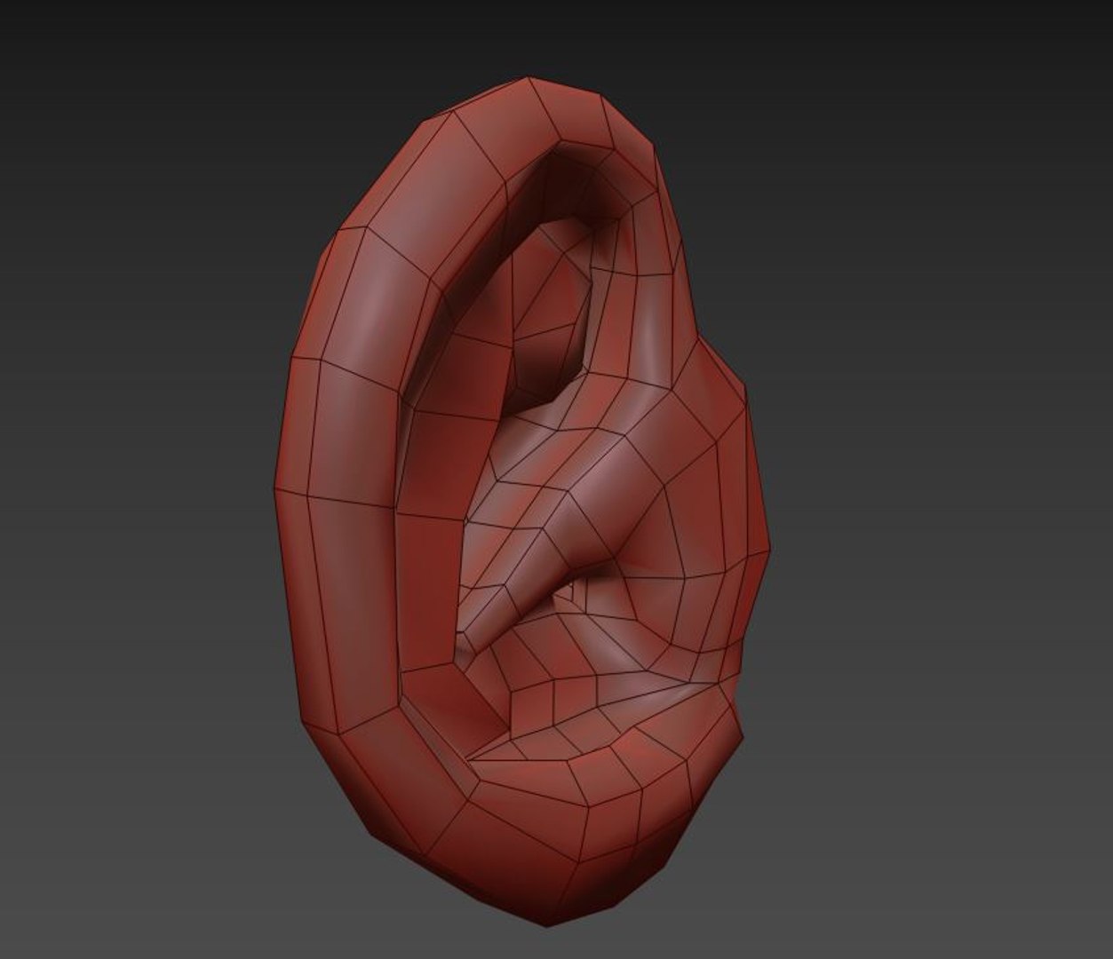 3D Ear Template - TurboSquid 1217488