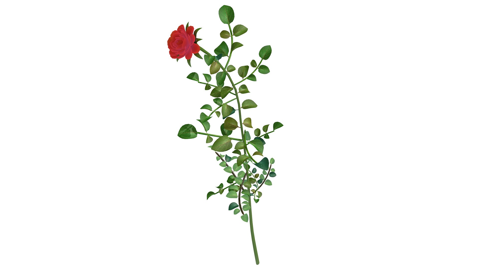 3D model Realistic rose - TurboSquid 1977278