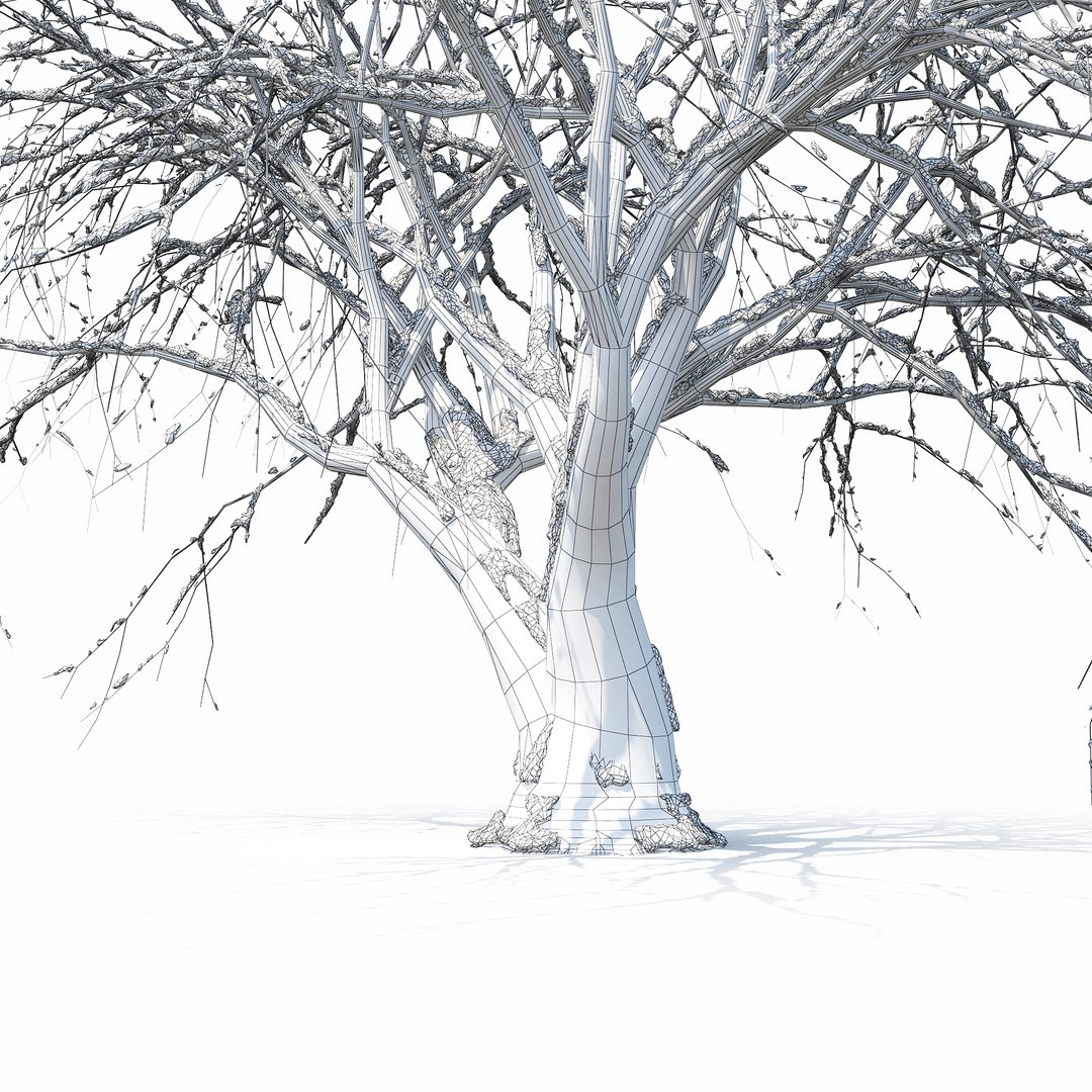 3D Winter Tree 022 Model - TurboSquid 1232840