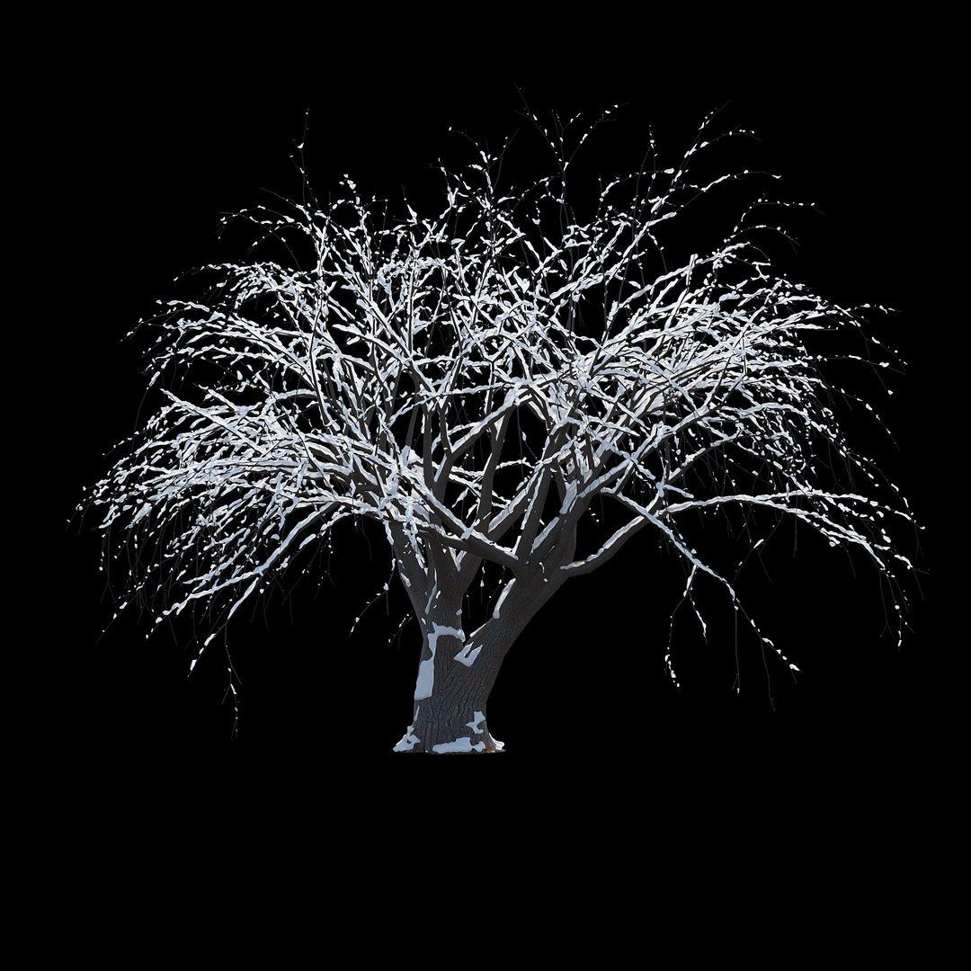 3D Winter Tree 022 Model - TurboSquid 1232840