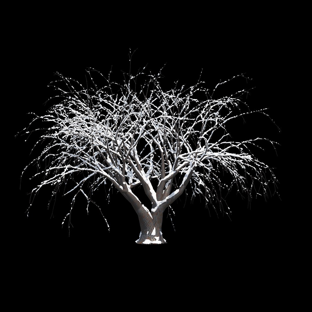 3D Winter Tree 022 Model - TurboSquid 1232840