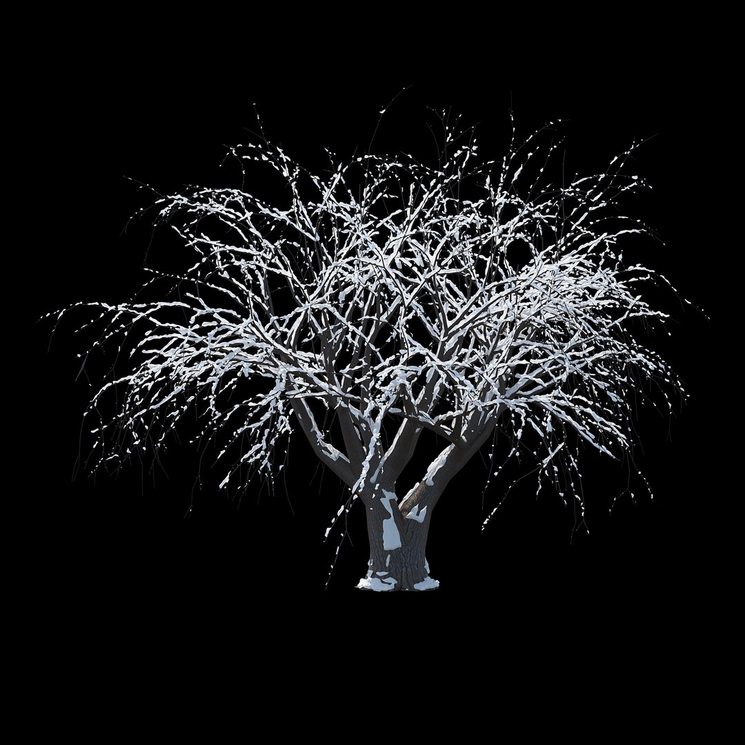 3D Winter Tree 022 Model - TurboSquid 1232840