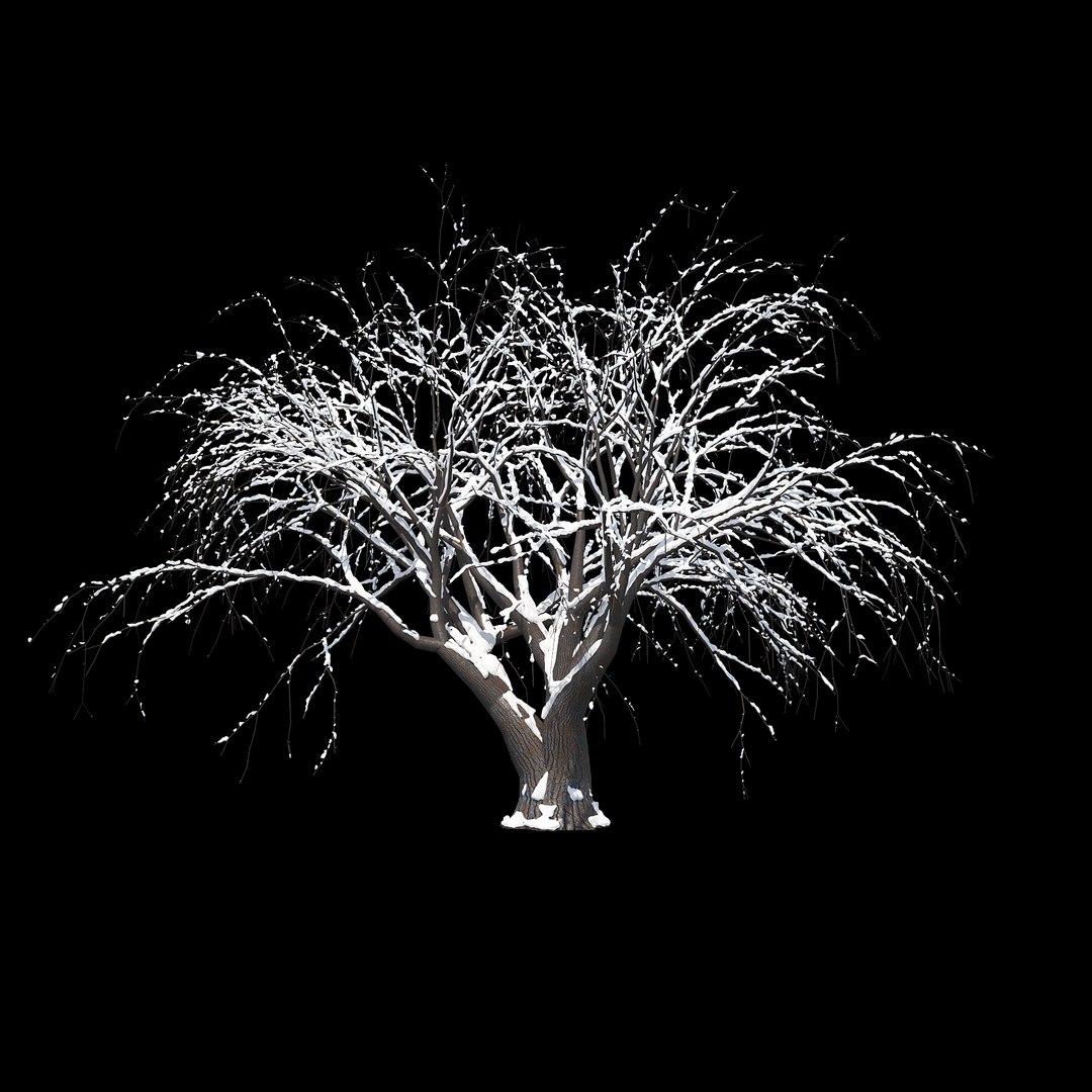 3D Winter Tree 022 Model - TurboSquid 1232840